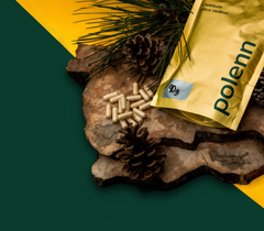 Pollen de pin – Polenn